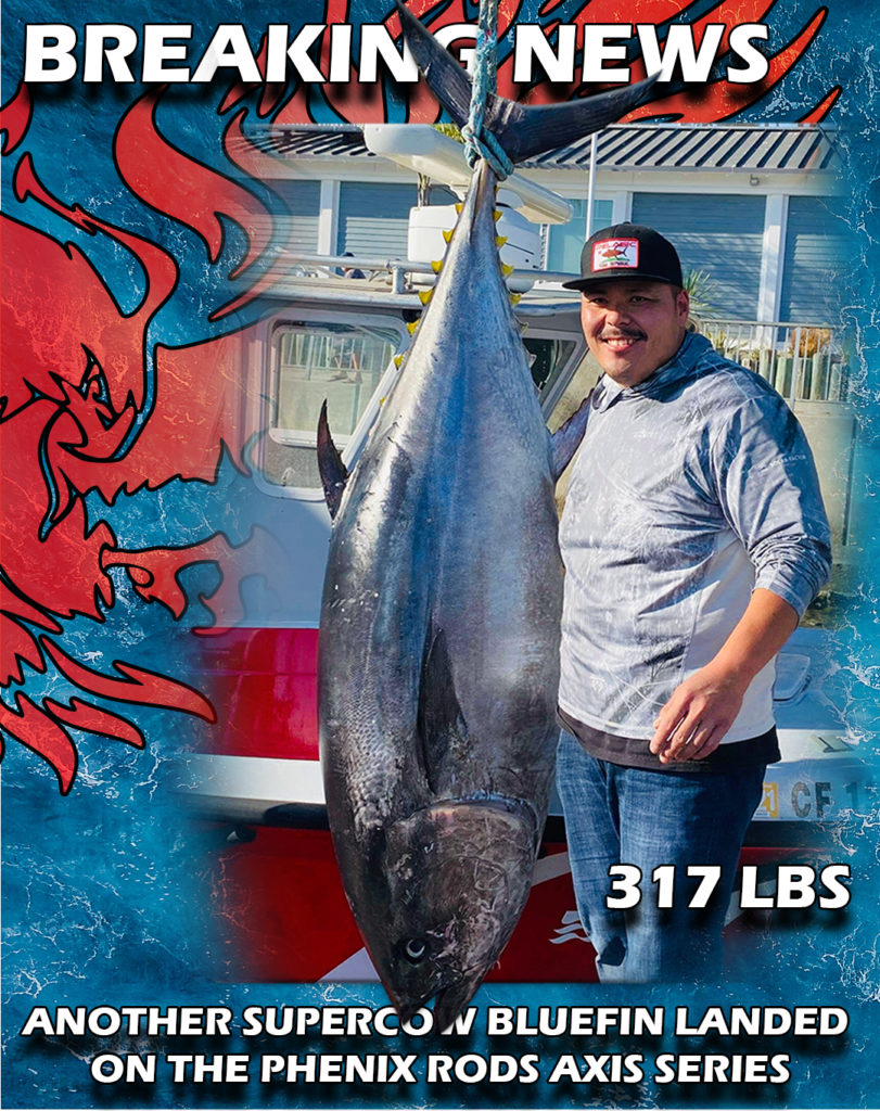 Another Super-Cow Blufin Tuna - Phenix Rods
