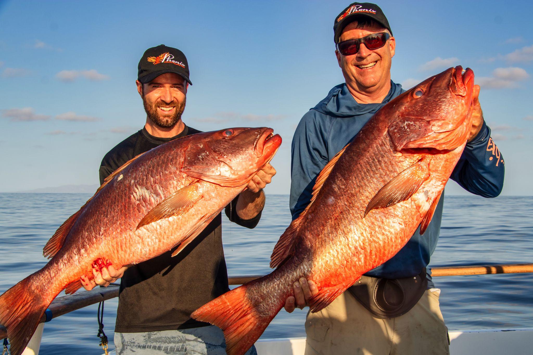 Yellowfin Tuna & Trophy Grouper in Puerto Vallarta - Phenix Rods