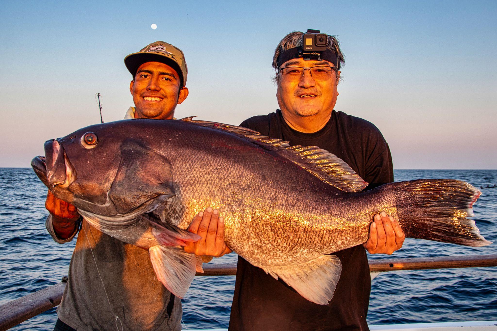 Yellowfin Tuna & Trophy Grouper in Puerto Vallarta - Phenix Rods